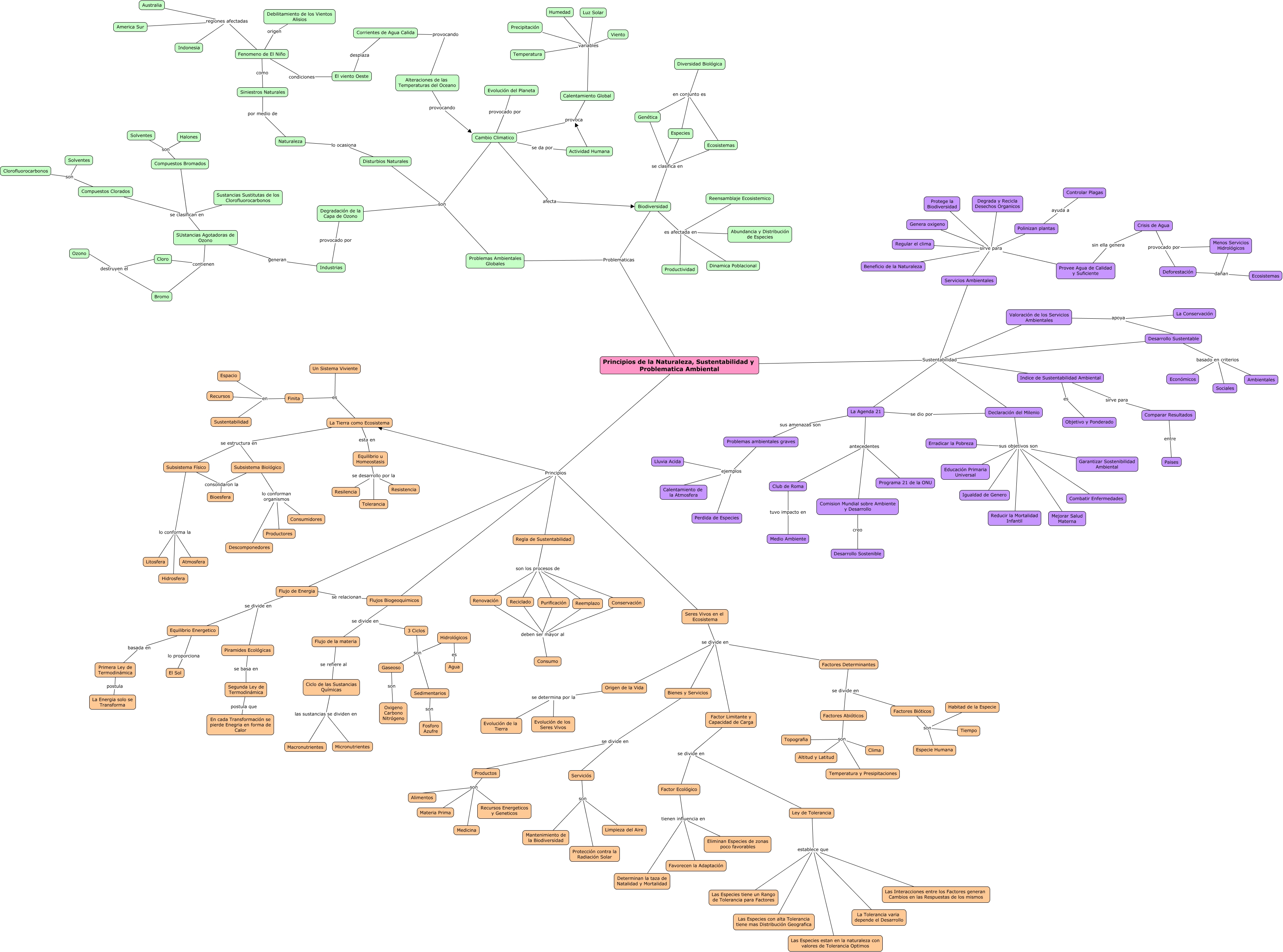 Cuadro Sinóptico RSyDS